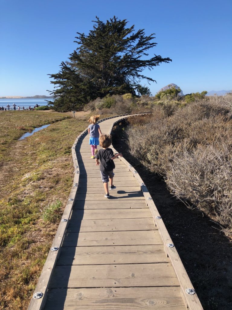 Morro Bay Marina Boardwalk, Morro Bay, California | Two In Tow & On The Go