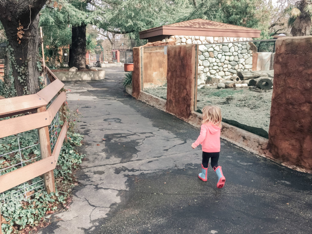 Charles Paddock Zoo, Atascadero | Two In Tow & On The Go