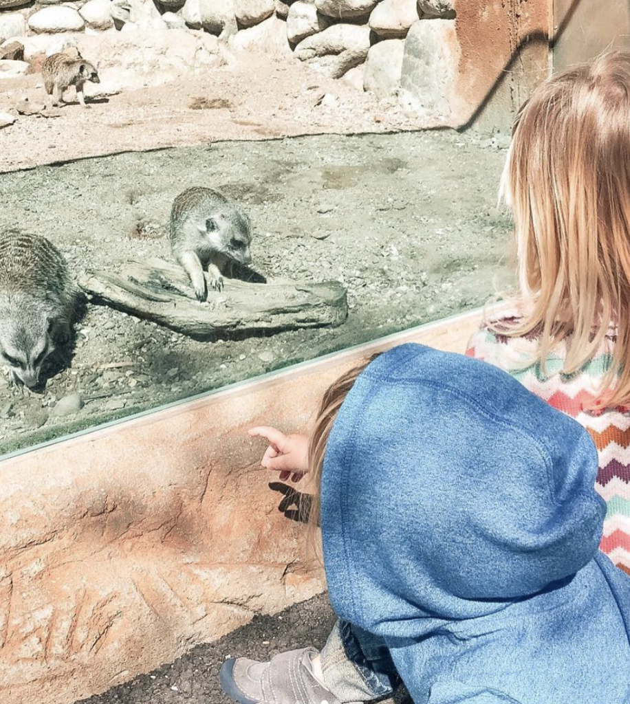 Charles Paddock Zoo, Atascadero | Two In Tow & On The Go