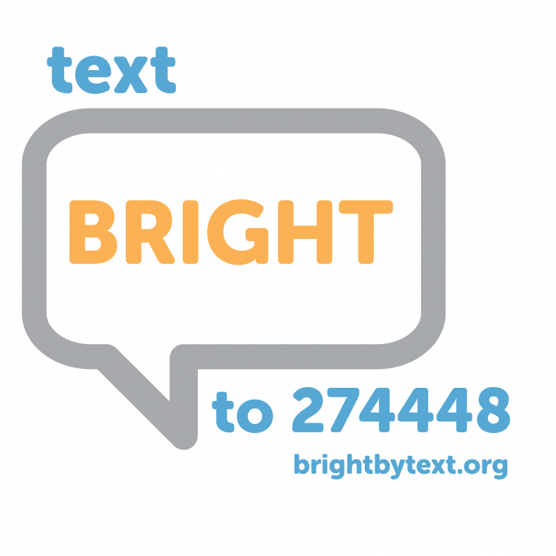 Our Experience With Bright by Text | Two In Tow & On The Go