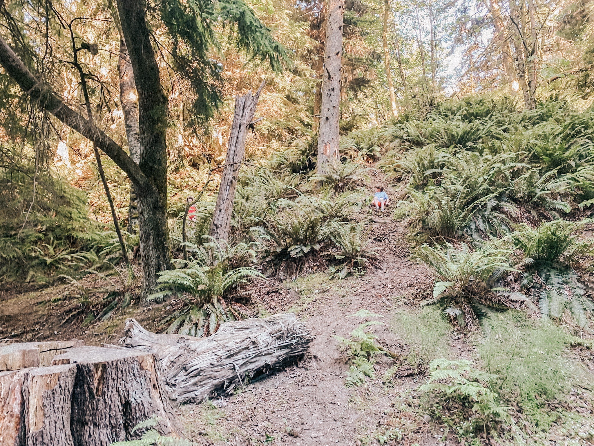 Point Defiance Park Bucket List, Tacoma | Two In Tow & On The Go